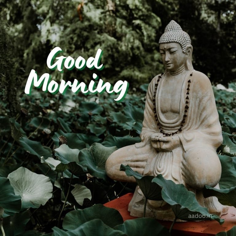 Good Morning Buddha Images - Buddha Images 3d