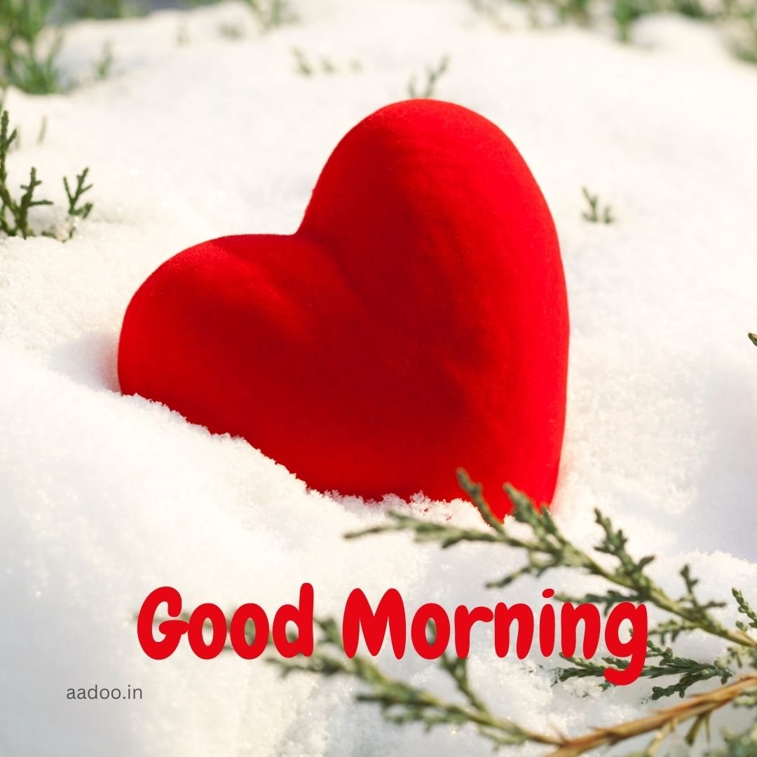 111 Good Morning Love Images - Good Morning Images | Status | Quotes ...