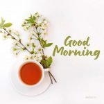 Best 50+ Good Morning Tea Images - Tea Good Morning Images