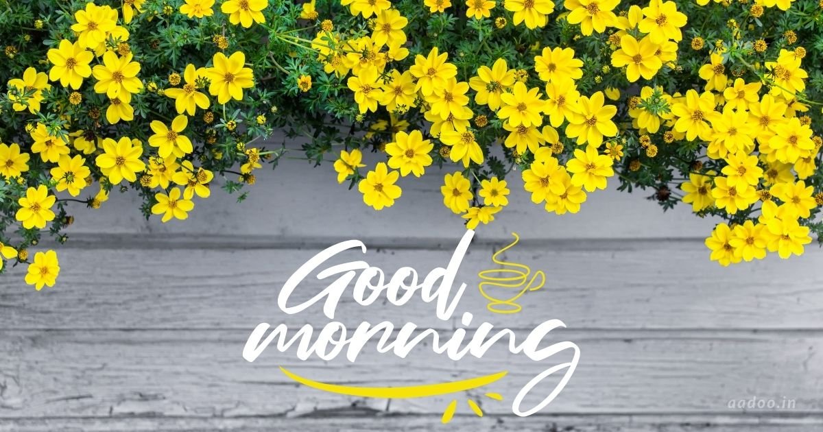50+ BEST Good Morning Images Yellow Flowers