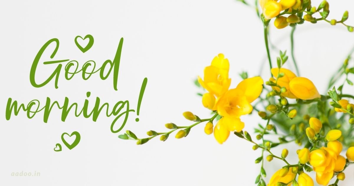 50+ BEST Good Morning Images Yellow Flowers