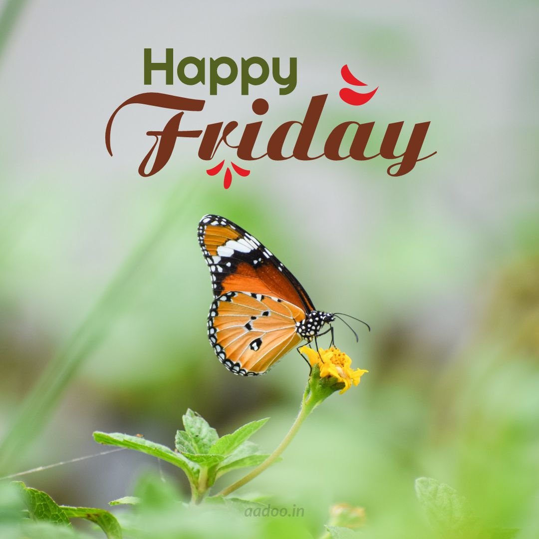 101+ Happy Friday Images and Quotes - Good Morning Friday