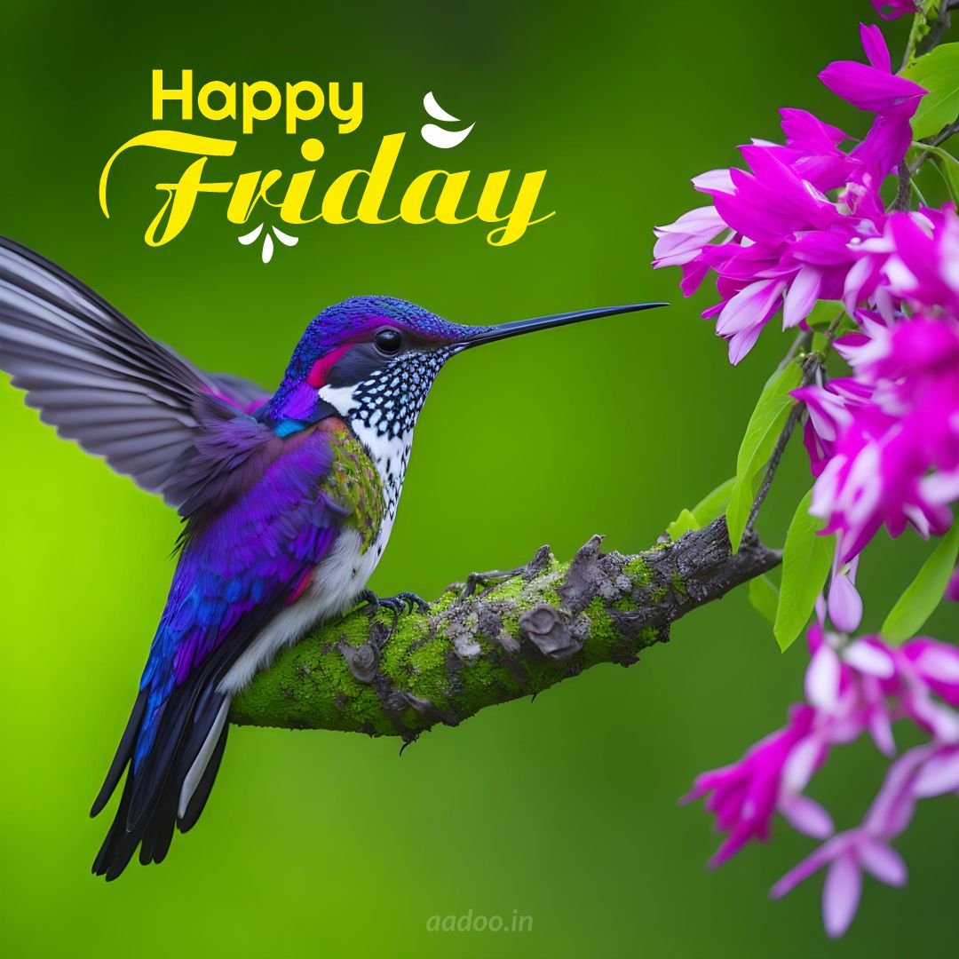 101+ Happy Friday Images and Quotes - Good Morning Friday