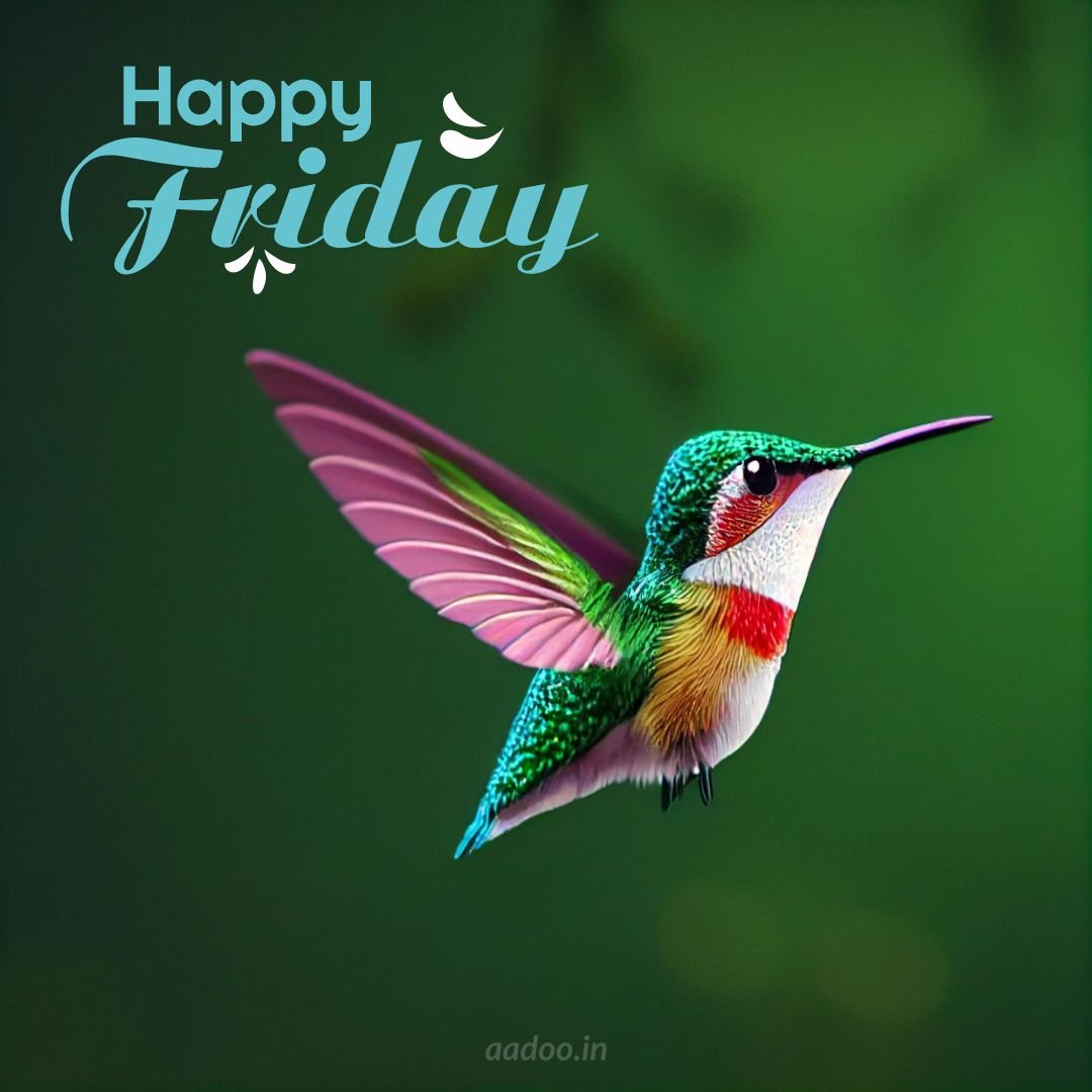 101+ Happy Friday Images and Quotes - Good Morning Friday