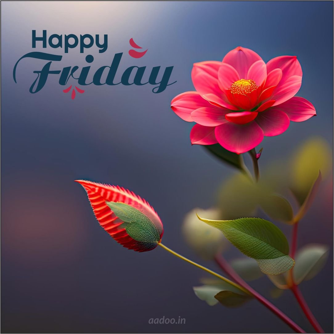 101+ Happy Friday Images and Quotes - Good Morning Friday