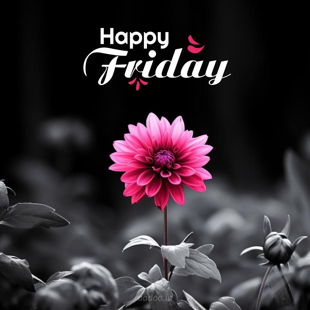 101+ Happy Friday Images and Quotes - Good Morning Friday