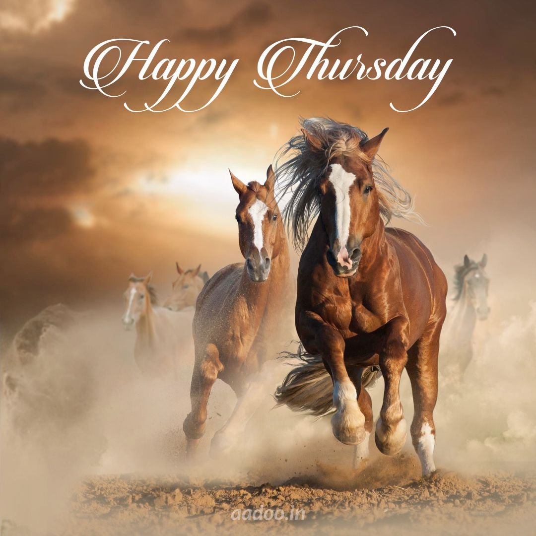 101+ Happy Thursday Images and Quotes - Good Morning Thursday