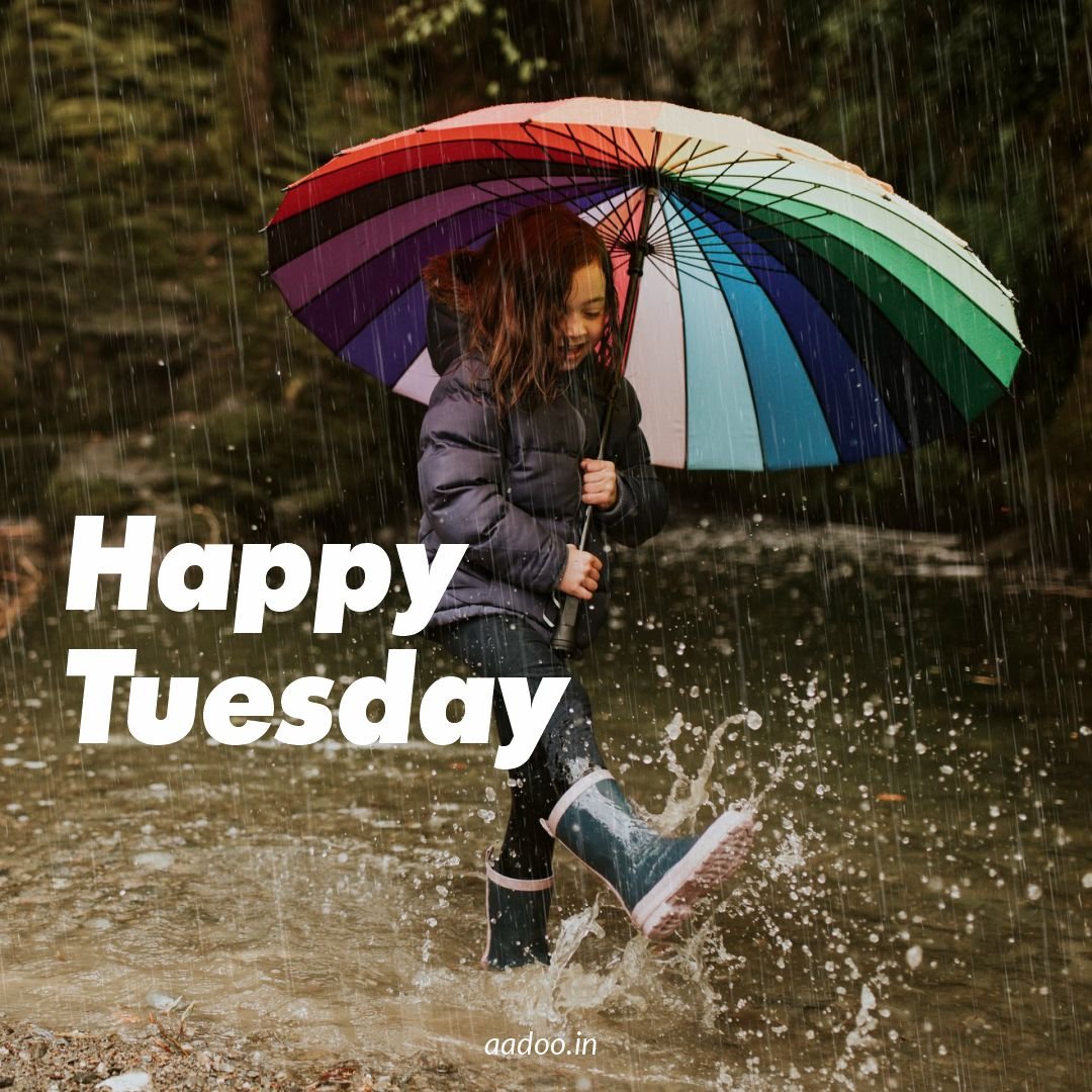 100+ Happy Tuesday Images and Quotes - Images of Happy Tuesday