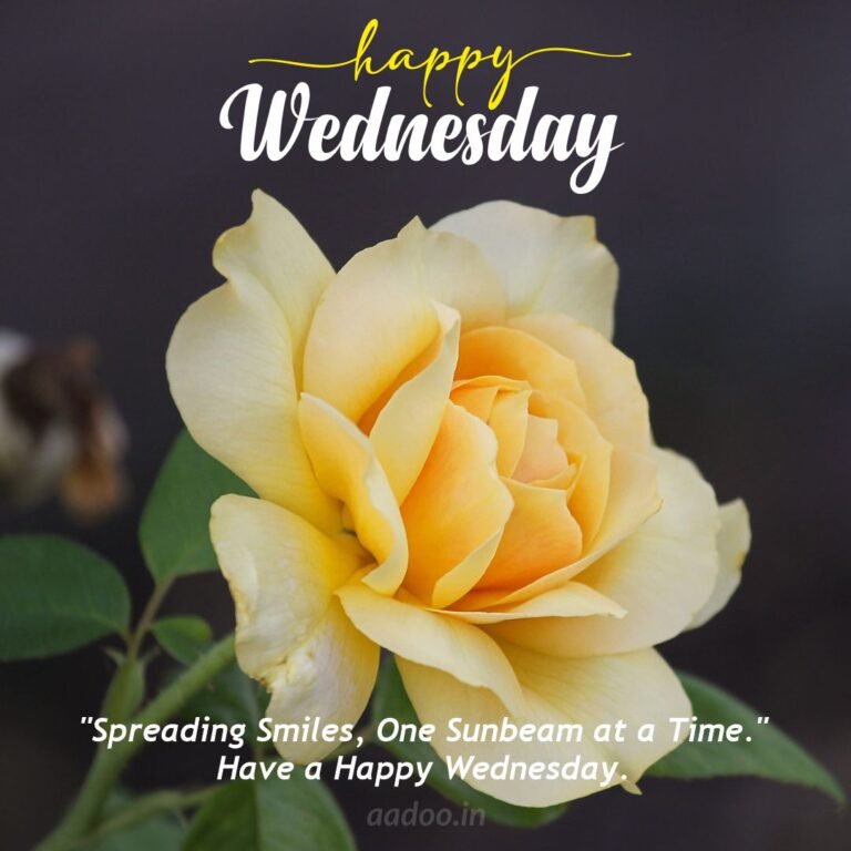 125+ Happy Wednesday Images and Quotes