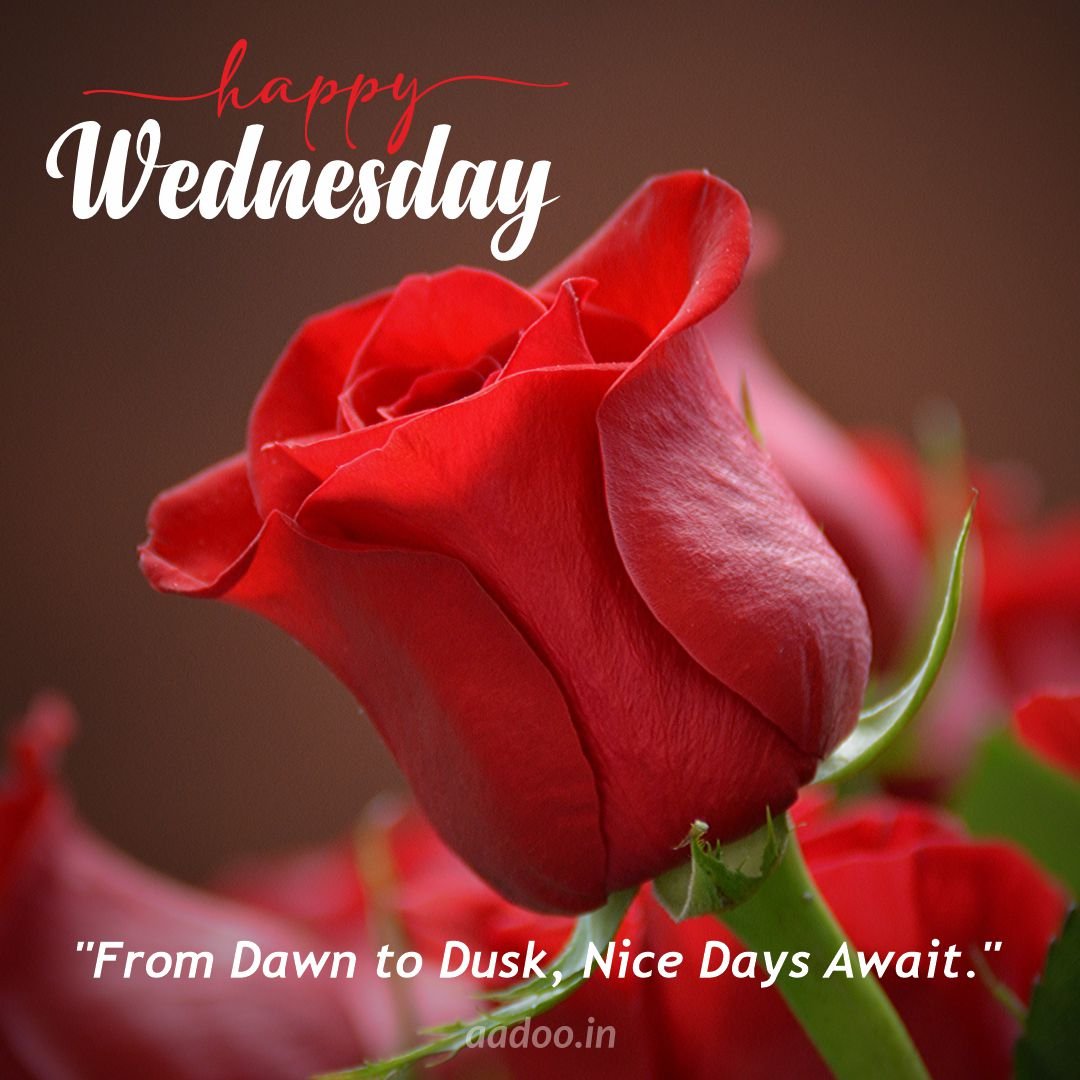 125+ Happy Wednesday Images and Quotes