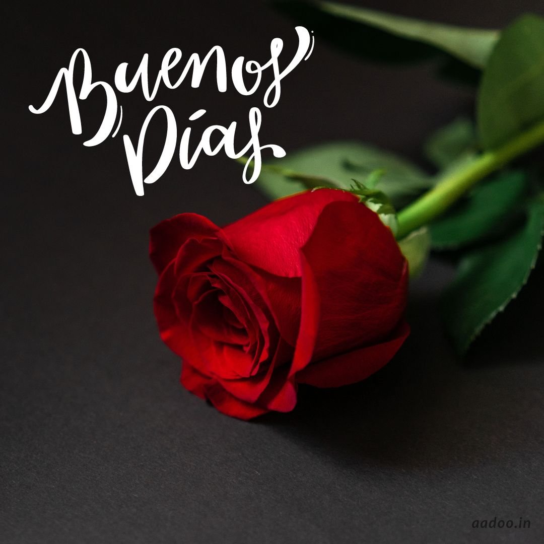 50 Buenos Días Imágenes de Flores - Good Morning Flower Images