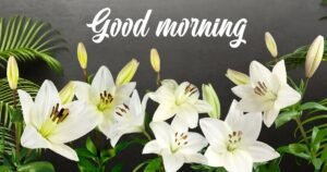 150+ Good Morning Images White Flowers